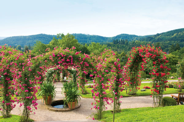 Beutig-Rundweg | Baden-Baden Beutig-Rundweg | Baden-Baden