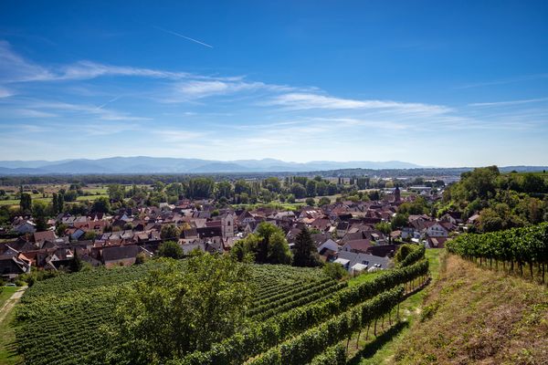 Weinerlebnis Badische Weinstraße