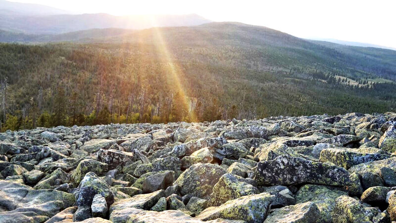 Lusen - das Blockmeer | Goldsteig Wandern